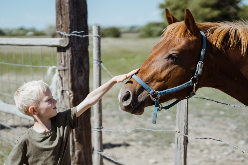Van Lith Ranch
