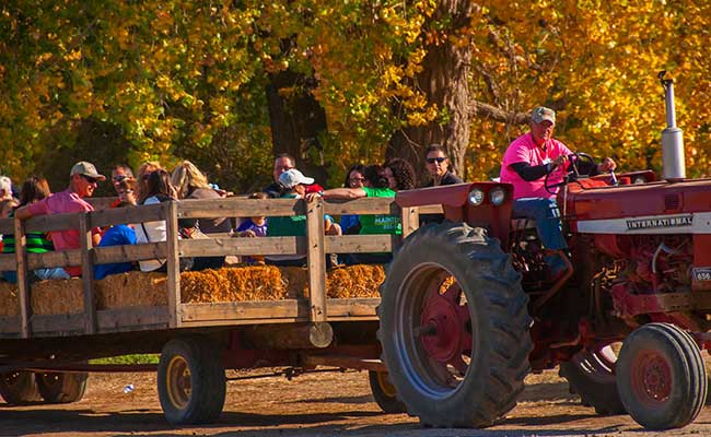 Your Fall Guide to Boise, Idaho | Boise Information | Totally Boise