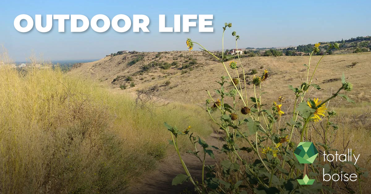 Outdoor Life | Trails, Parks, Ski Resorts | Totally Boise